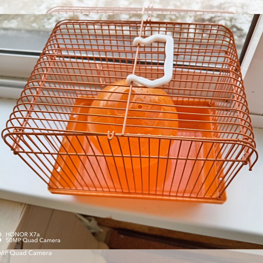 Клетка для грызунов отдам