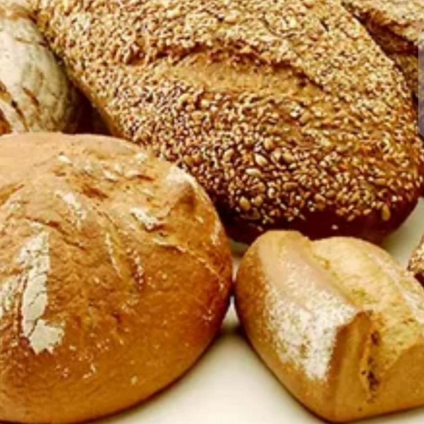 Хлеб для животных бесплатно