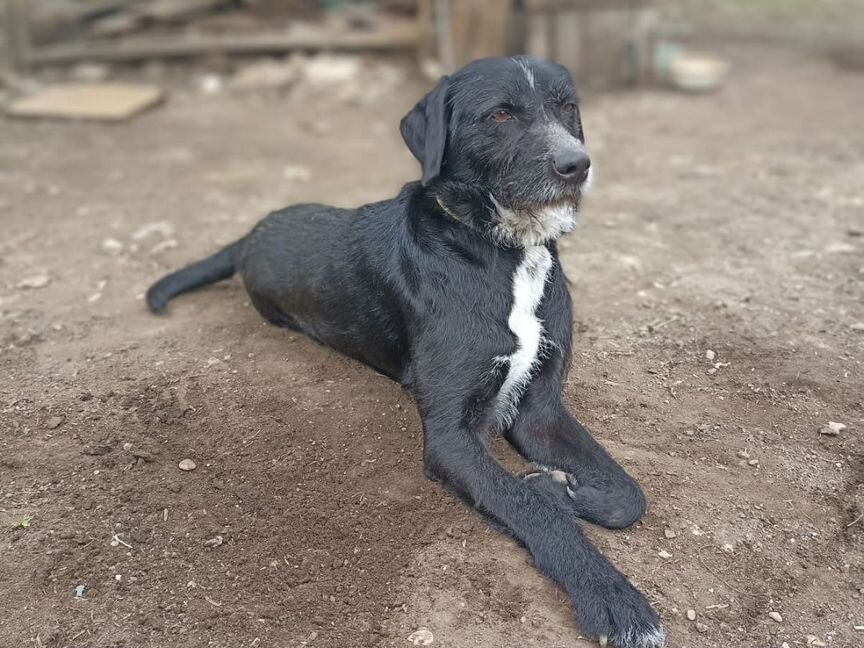 Мальчик 1 год размер выше среднего