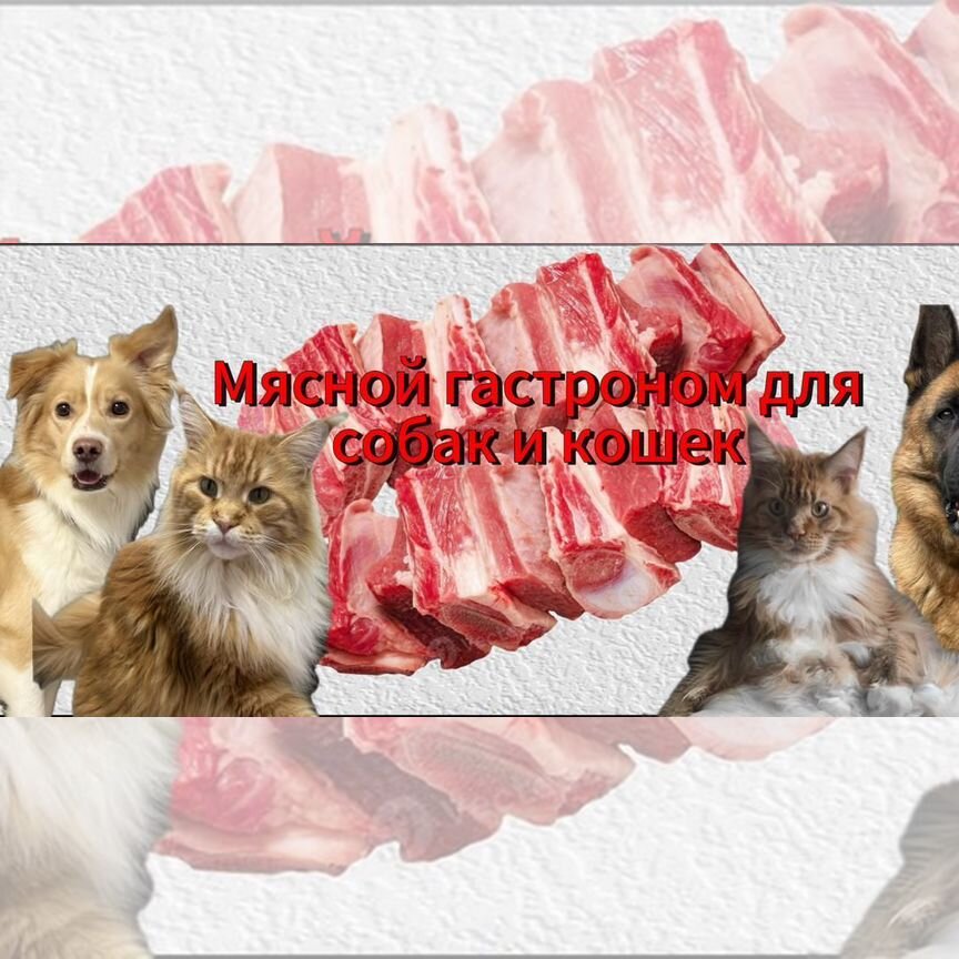 Фарш говяжий для мелких собак и кошек