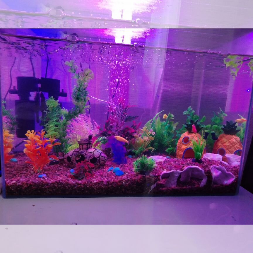 Аквариум с рыбками