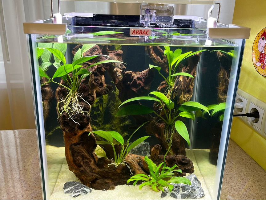 Аквариум 30 литров