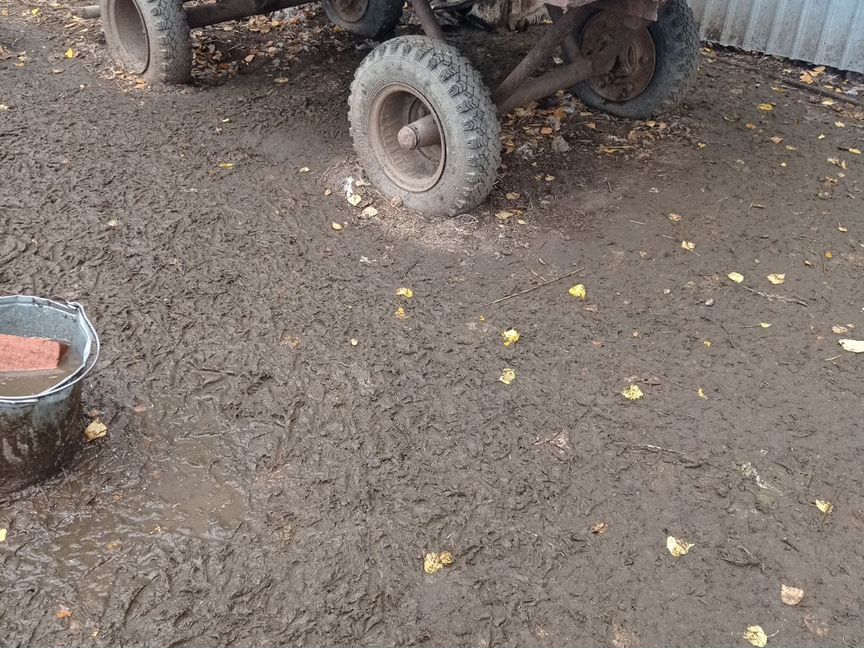 Сани телега для лошади