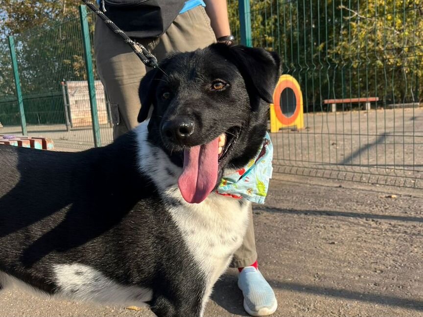 Каен ищет родителей