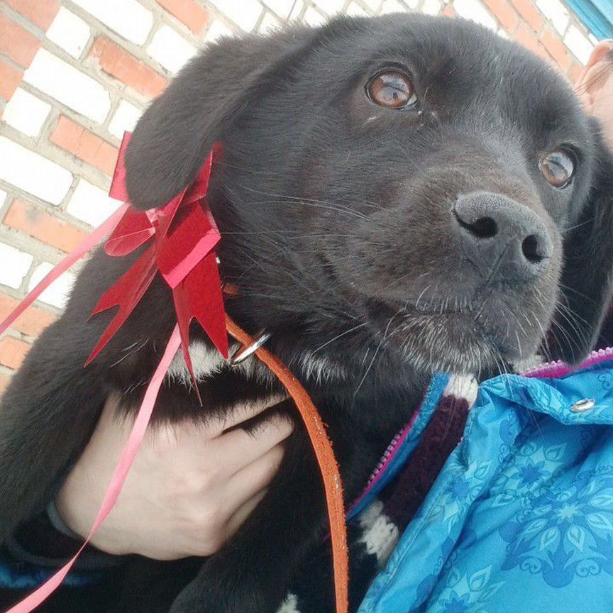 Плоды любви