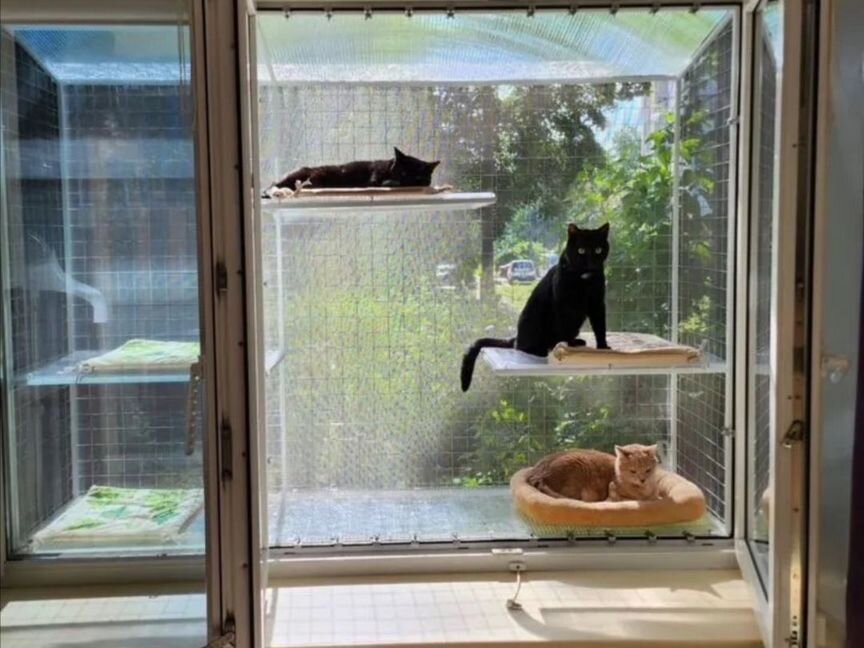 Балкончик для кошки на окна
