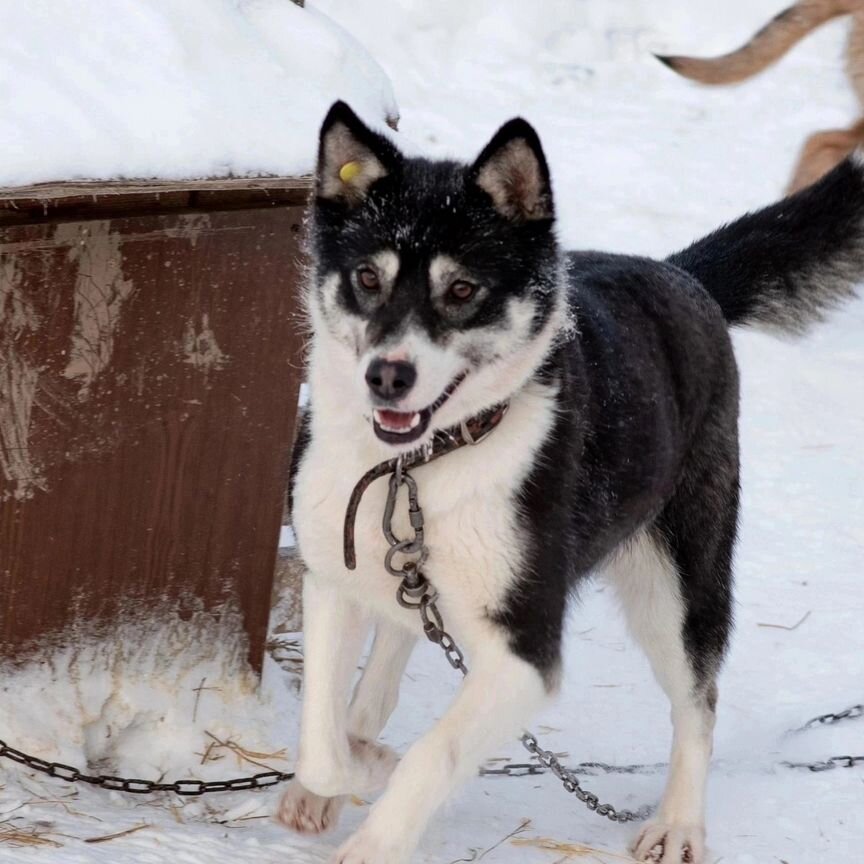 Яркая веселая Мальта