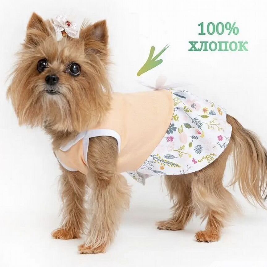 Платье для собаки