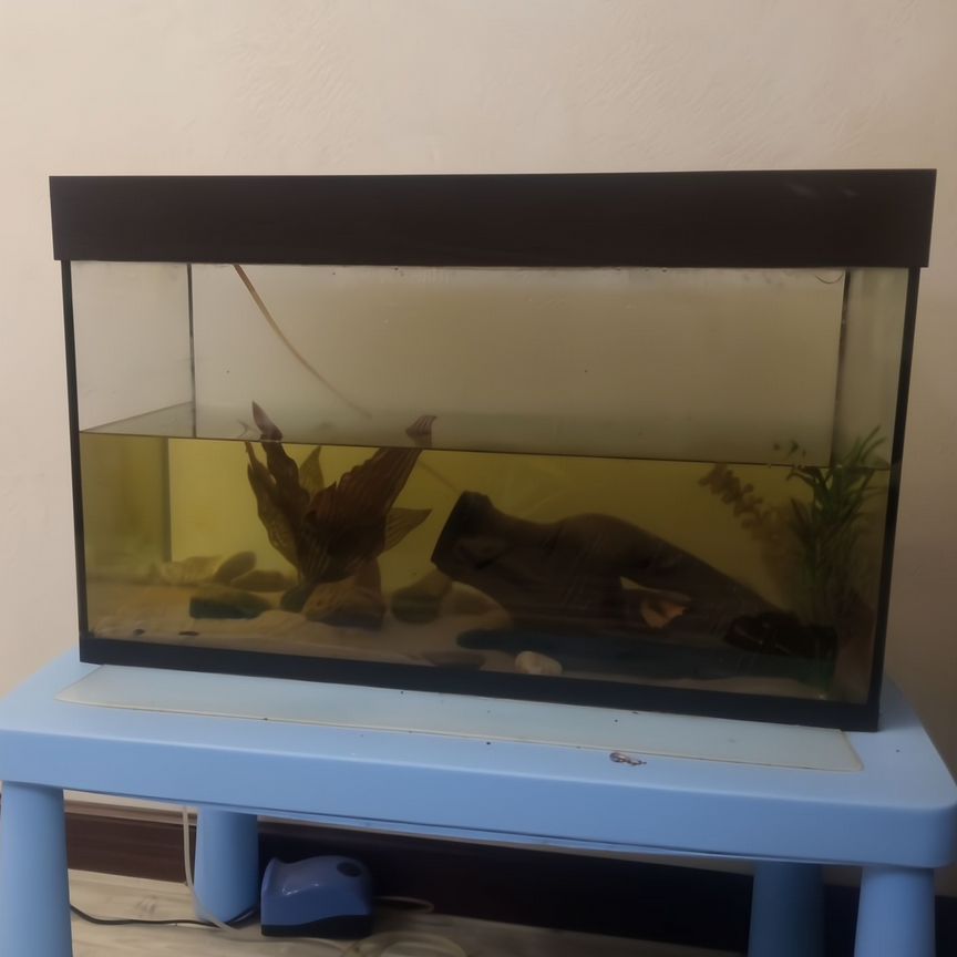 Аквариум 70 литров