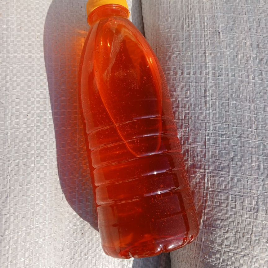 Рыбий жир для животных