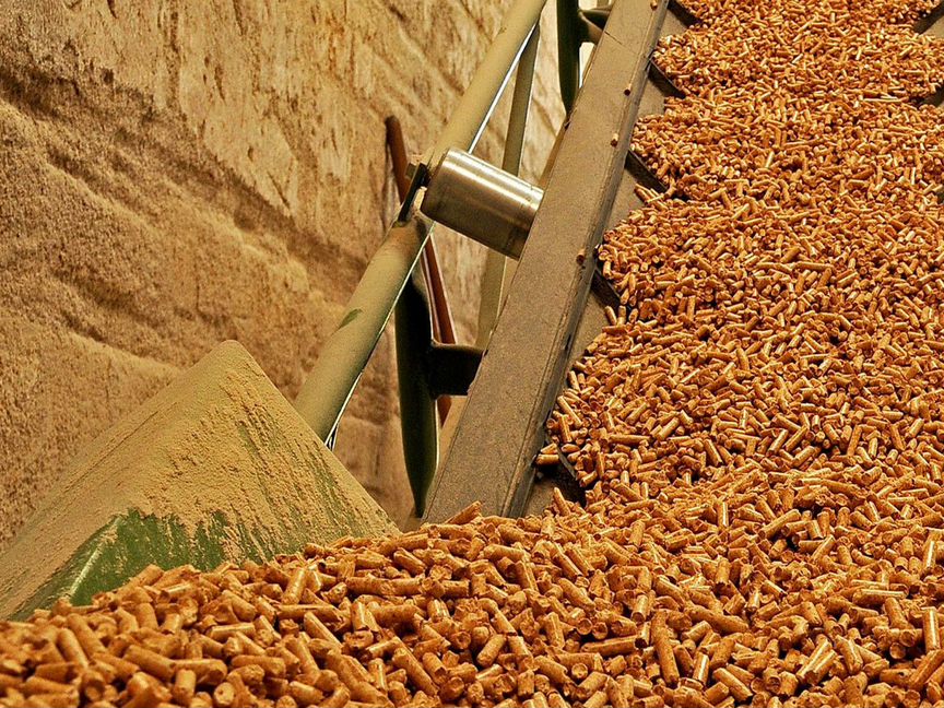 Корм для с/х животных опт