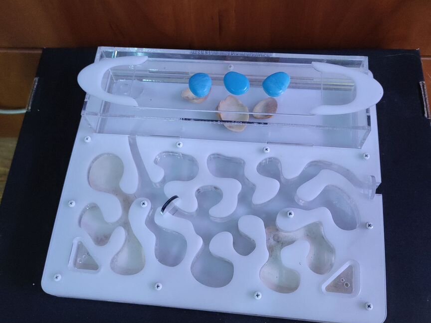 Муравьиная ферма antplanet