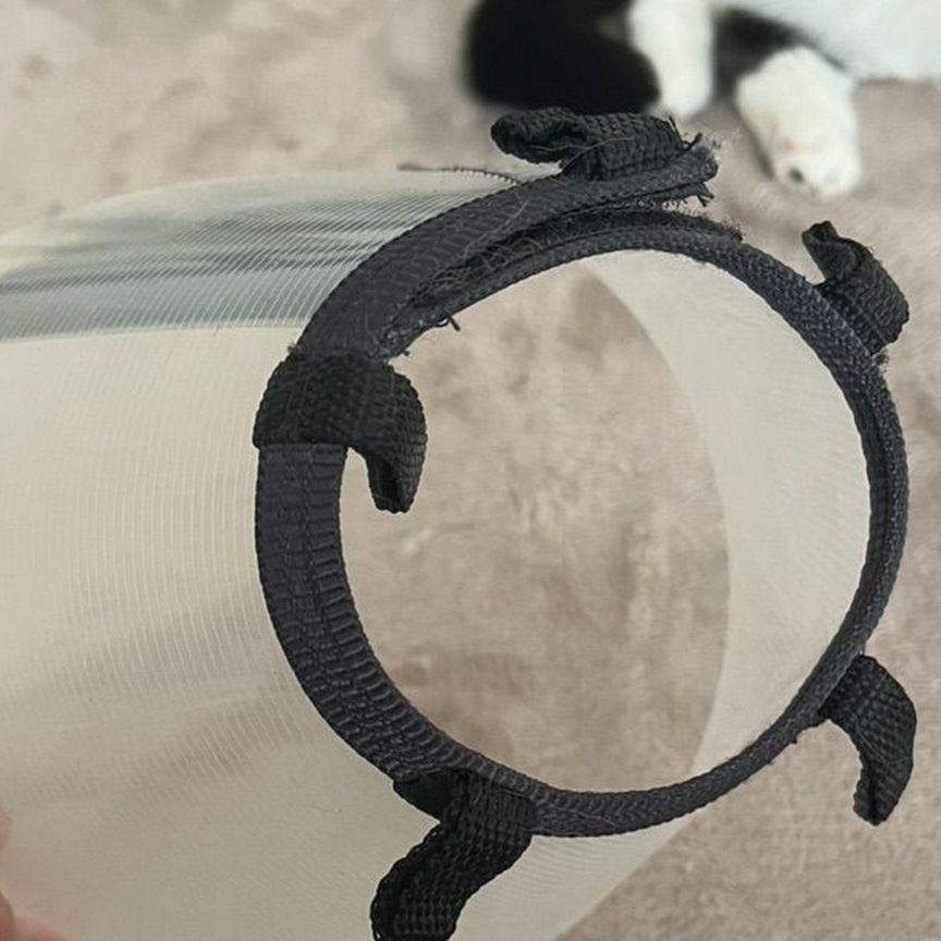 Воронка для кошек