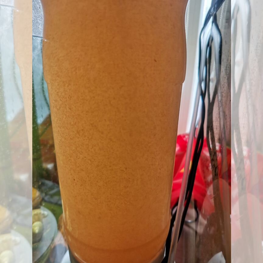 Наупии артемии (живой корм для мальков всех рыб)