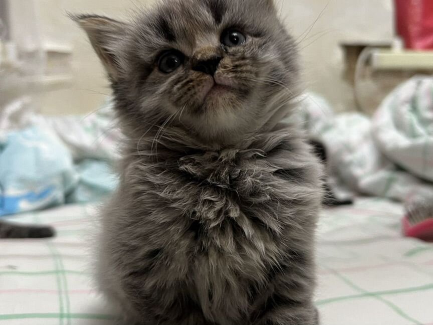 Ванюшка