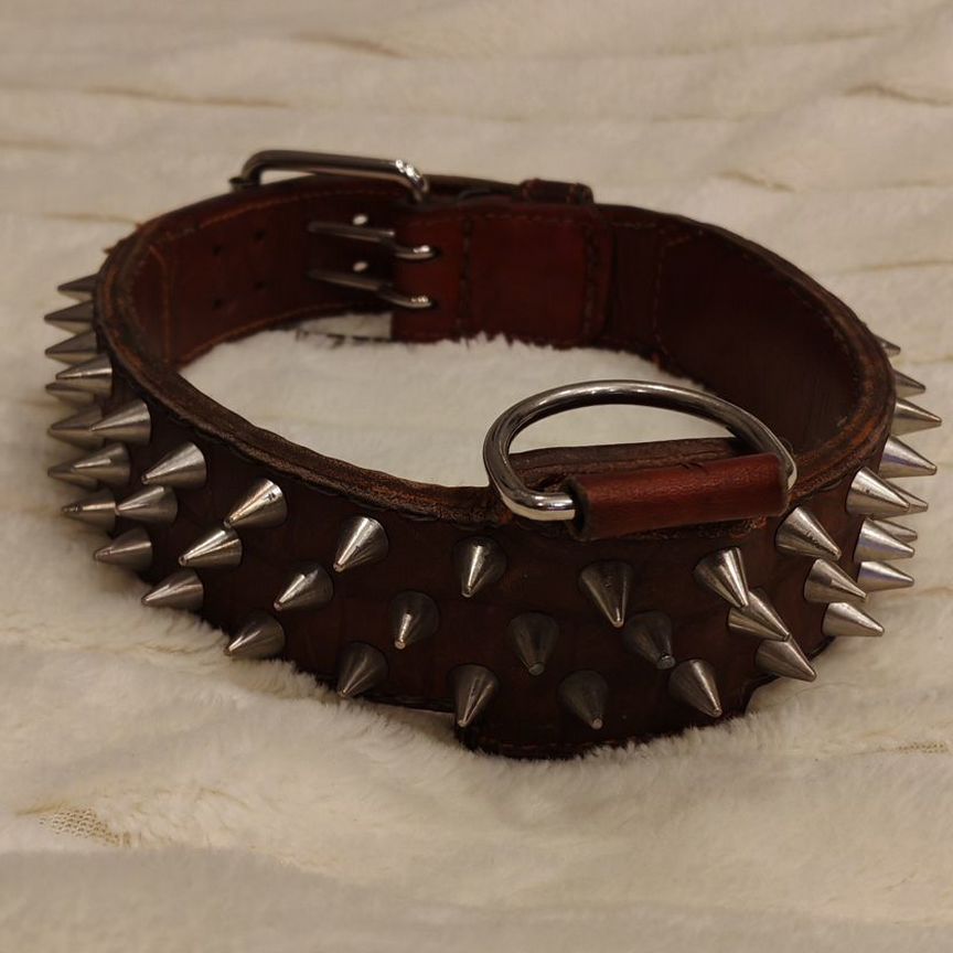 Продам ошейник