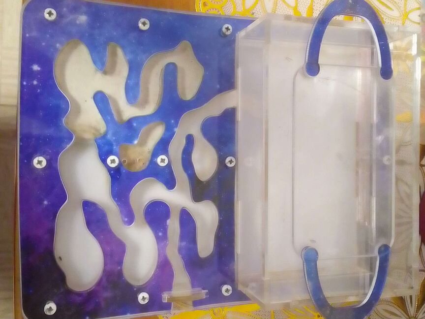 Ферма для муравьев "без муравьев"