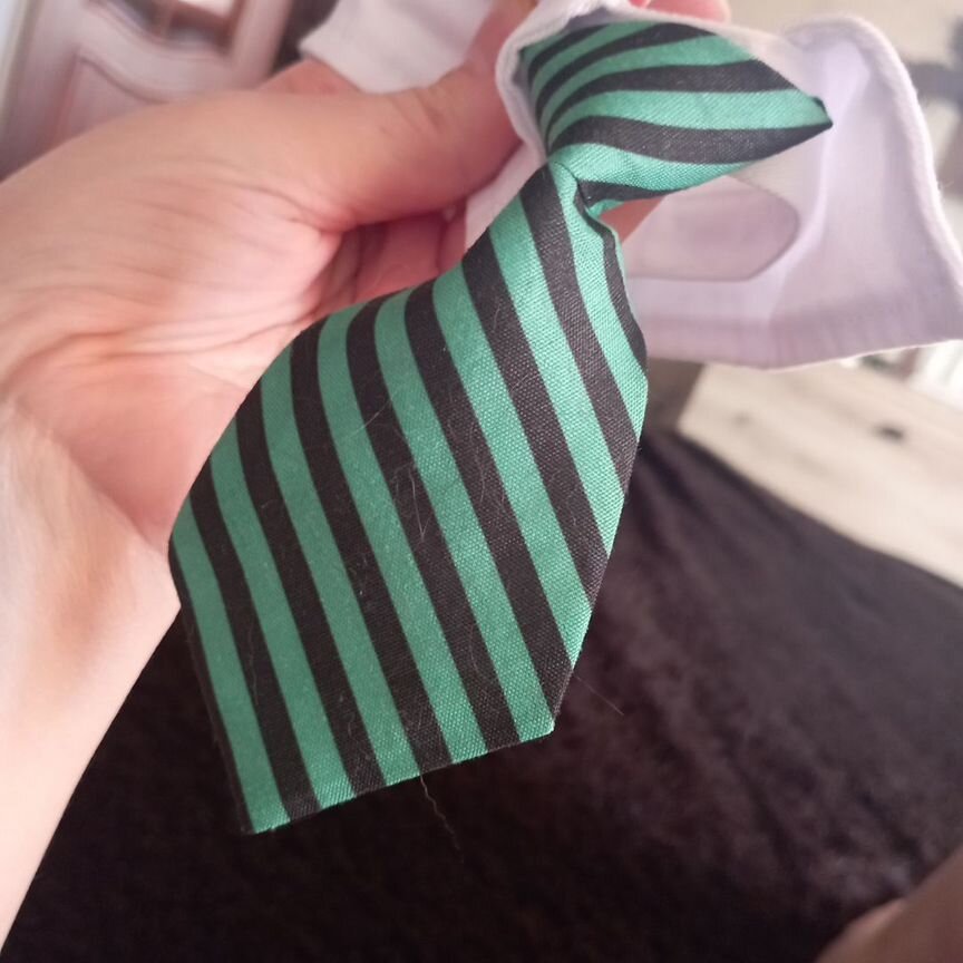 Галстук для кота или маленькой собачки