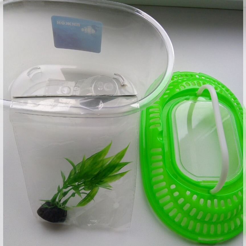 Переноска для рыбок