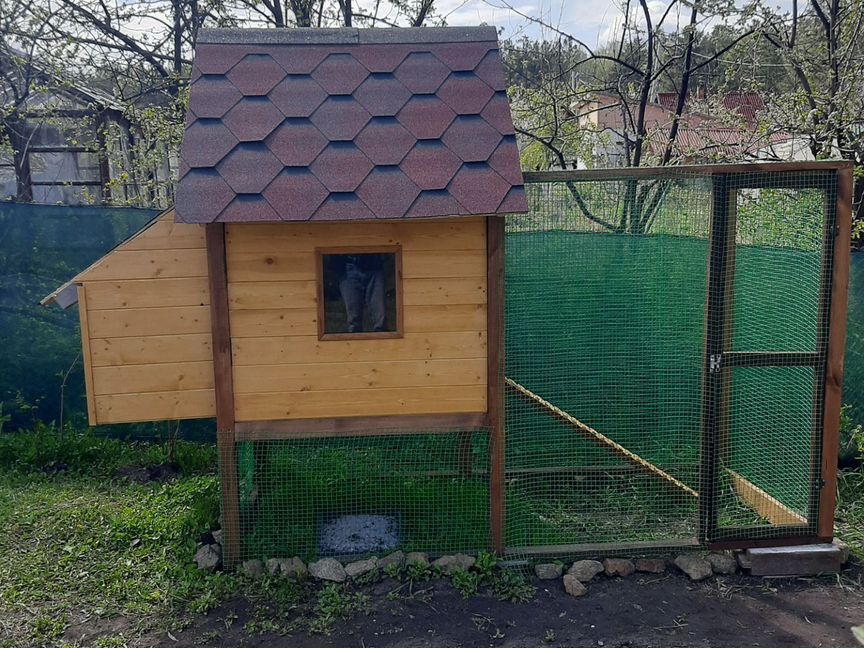 Курятник на 5 кур
