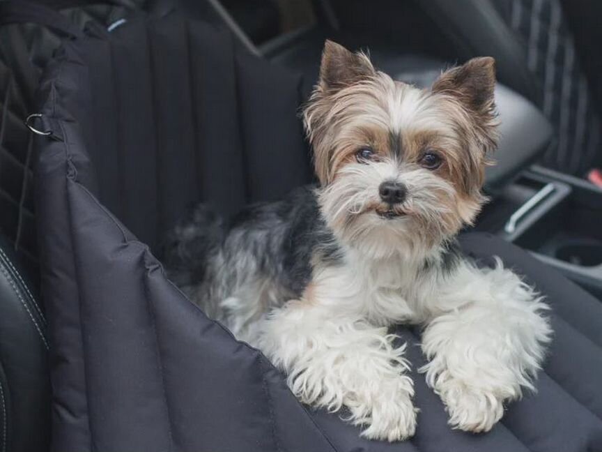 Автокресло для собак черное