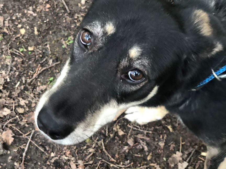 Ну вот и все. Прошел год. У Дакоты осталась неделя