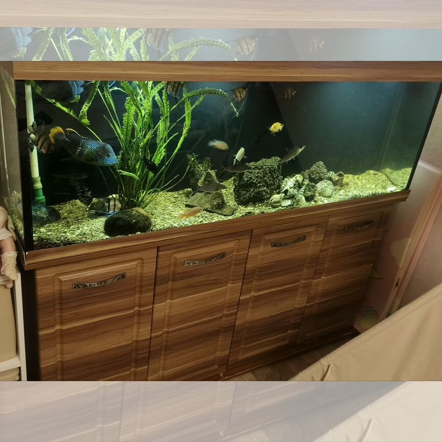 Аквариум с тумбой 350 литров