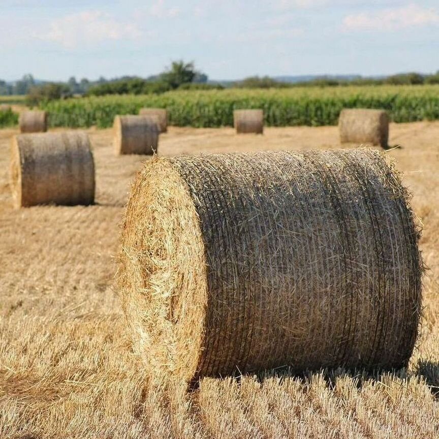 Сетка сеновязальная