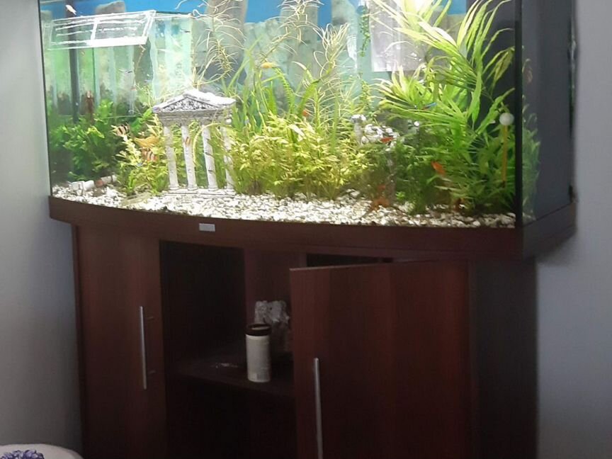 Аквариум с тумбой juwel