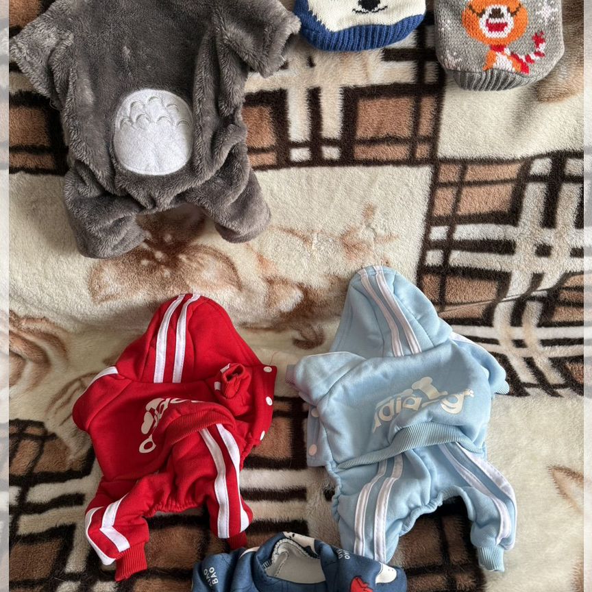 Одежда для собак