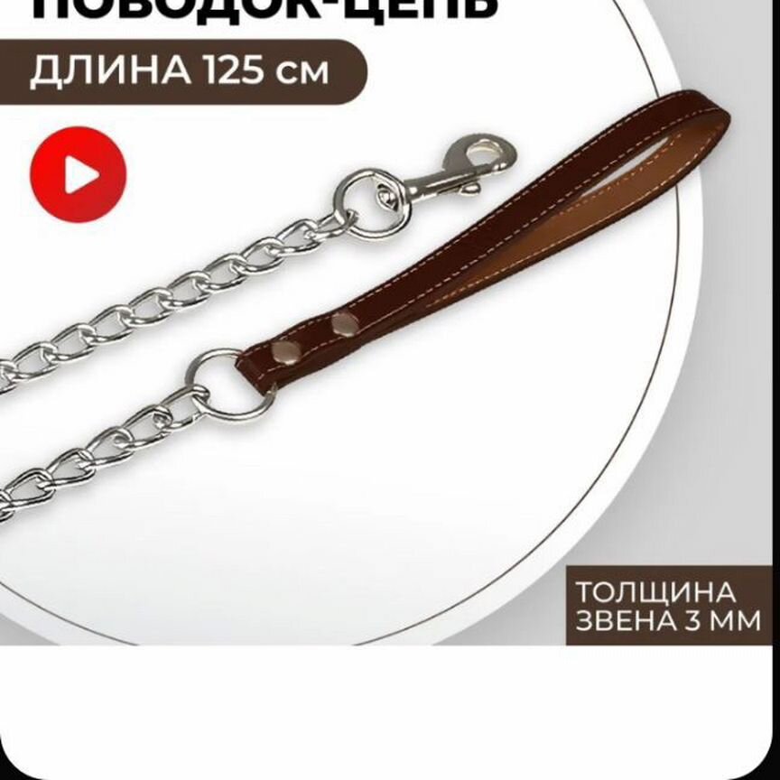 Ошейник селедка и поводок цепь для собак комплект
