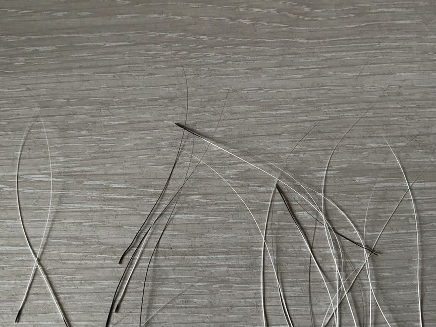 Вибриссы (усы)