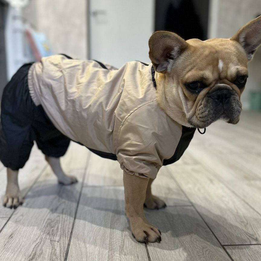 Комбинезон для собак средних пород