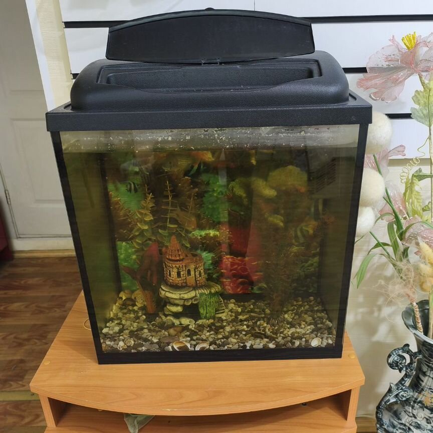 Аквариум с рыбкой