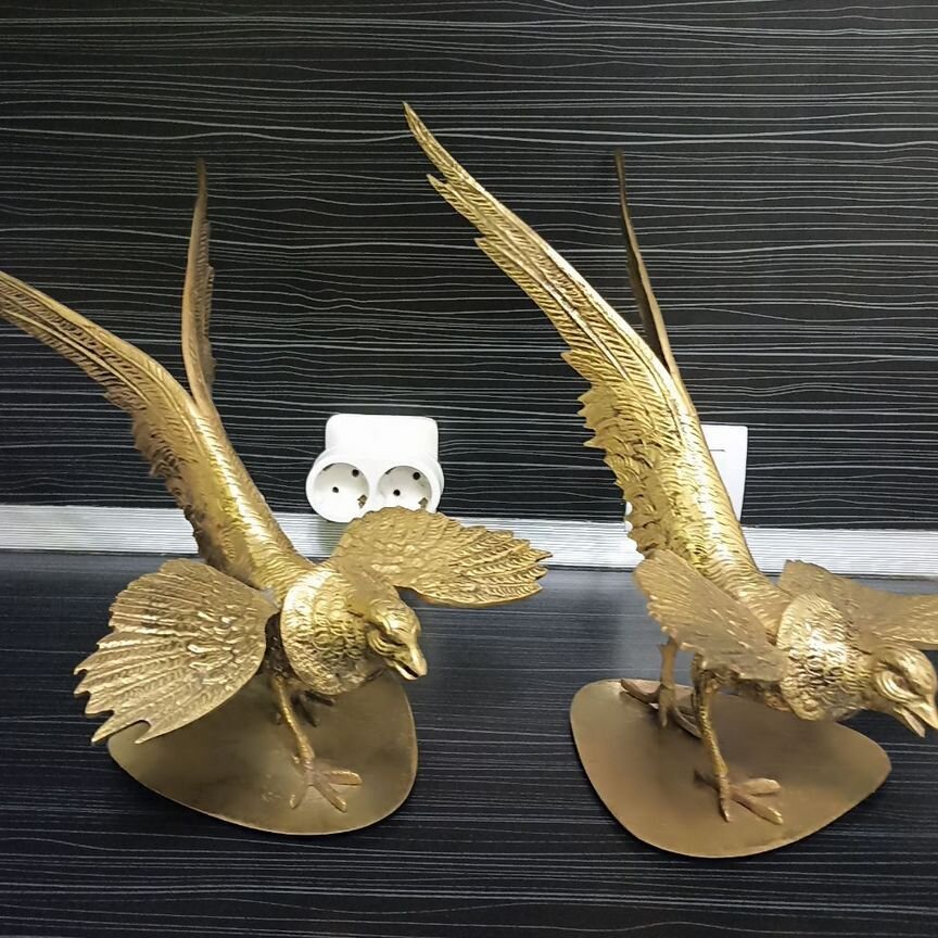 Птица фазан