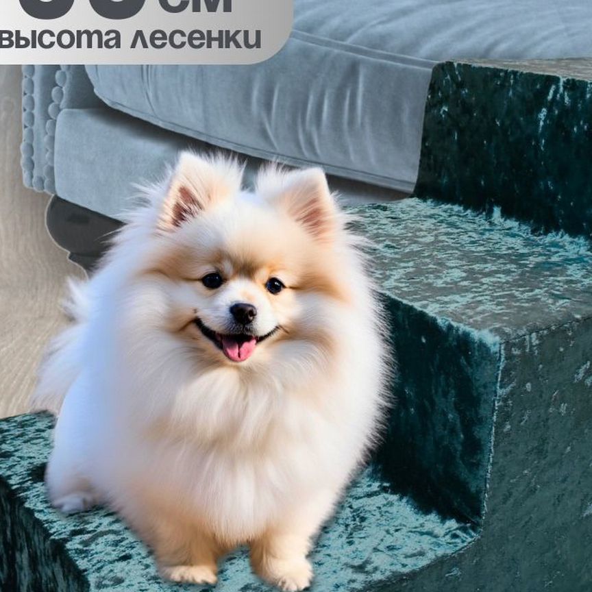 Поролоновая лесенка для собак и кошек