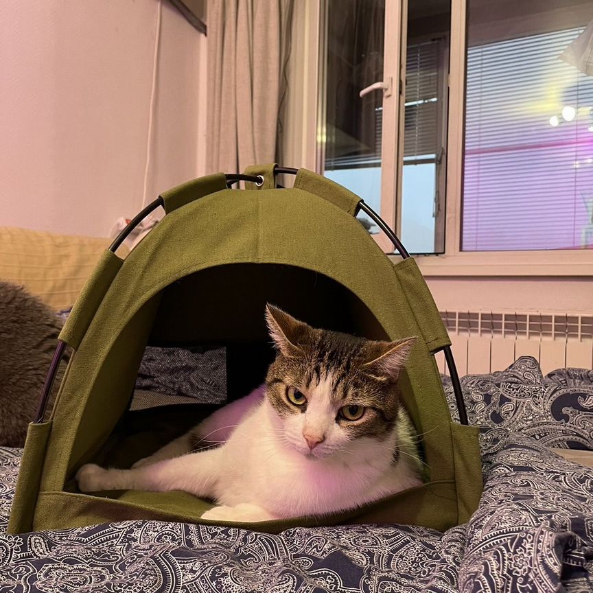 Домик для кошки