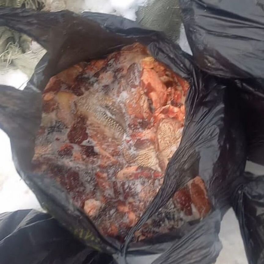 Мясо говядина для собак