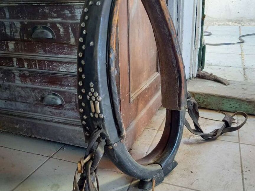 Хомут для лошади