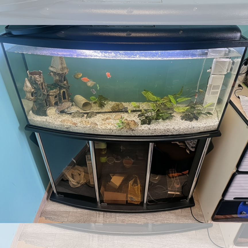 Продаю аквариум вместе с рыбками и тумбой