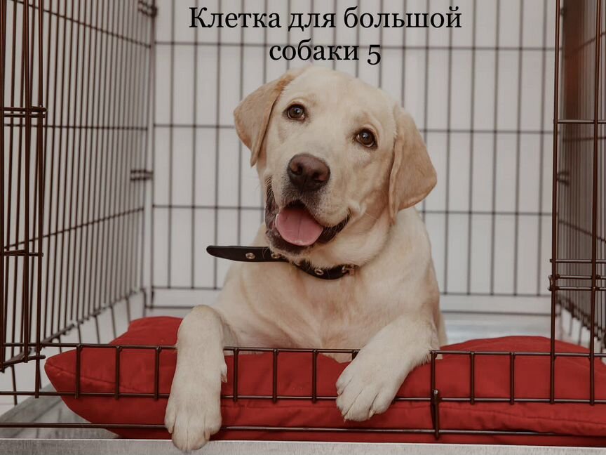 Клетка для большой собаки 5