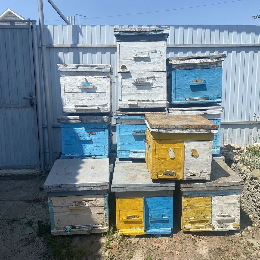 Продам Улики Пчеловодство