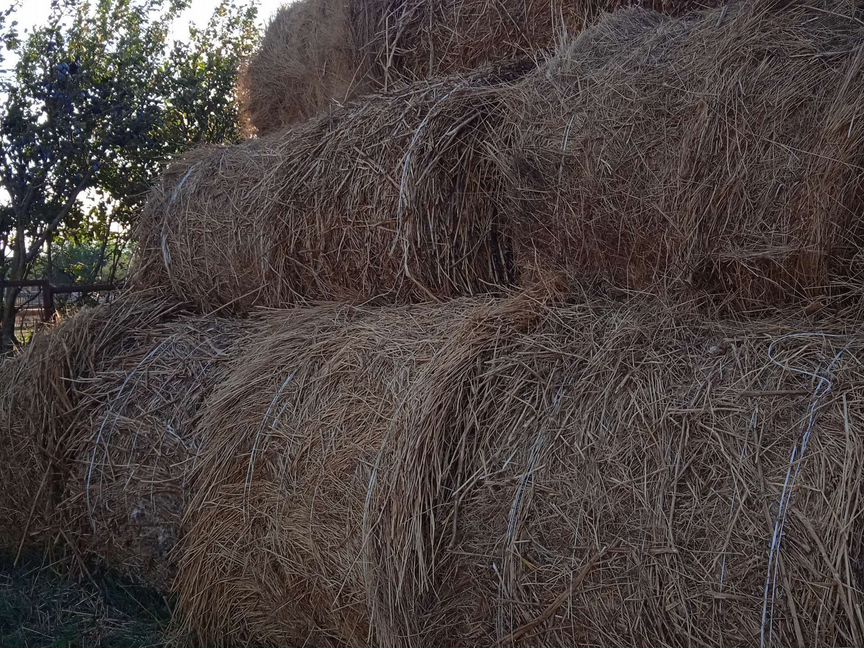 Сено в тюках