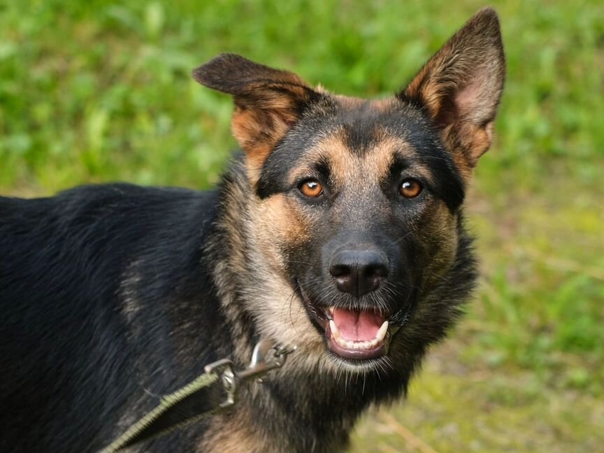 Молоденькая Элис из приюта