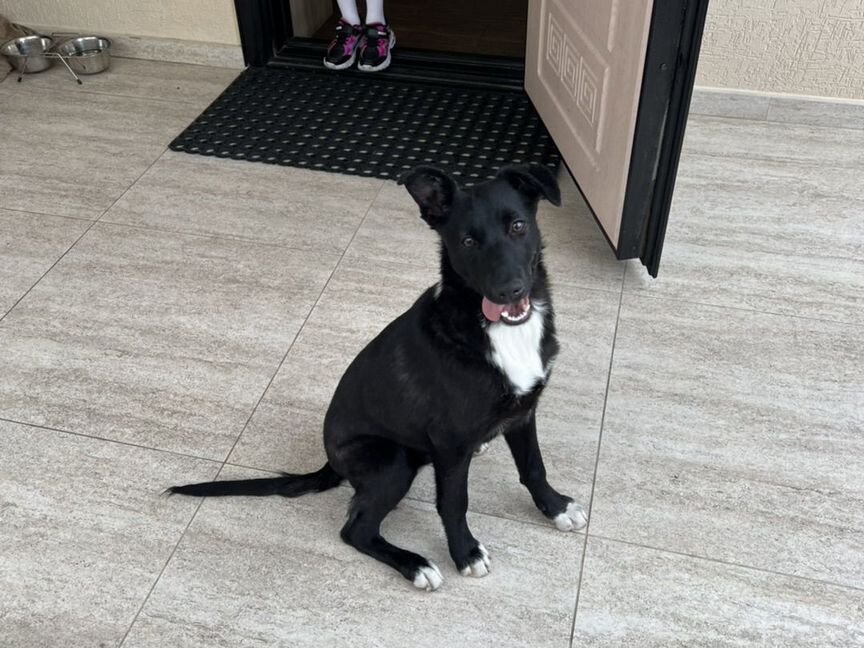 Классная девочка ищет семью