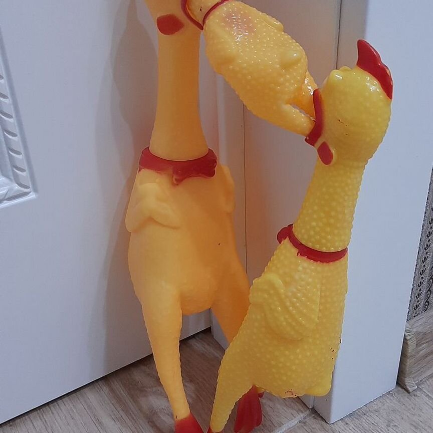 Резиновые курицы пищалки для собак