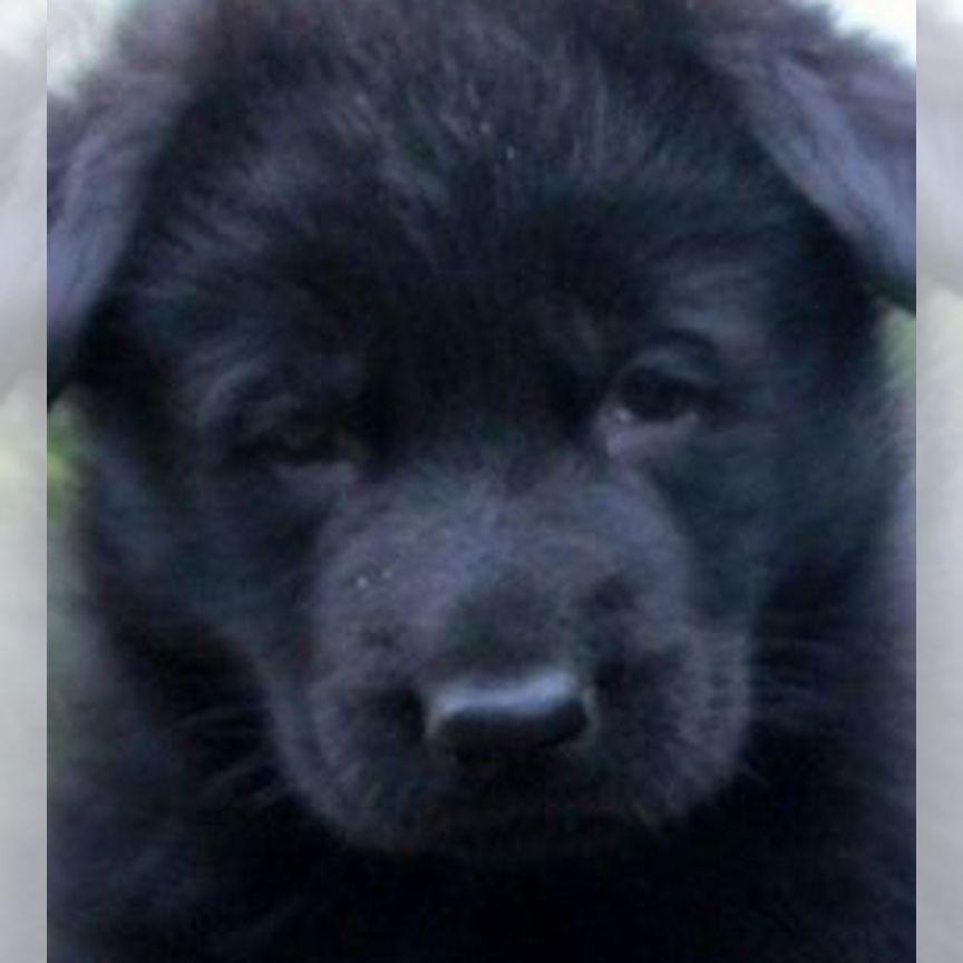 Мальчик и девочка