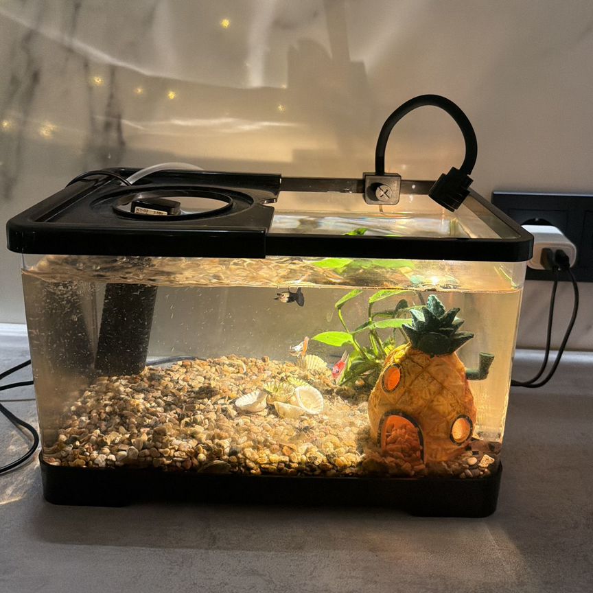 Аквариум с рыбками