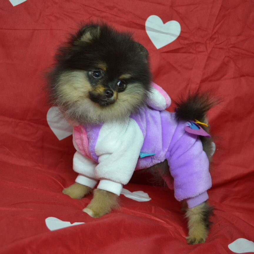 Милый мальчик