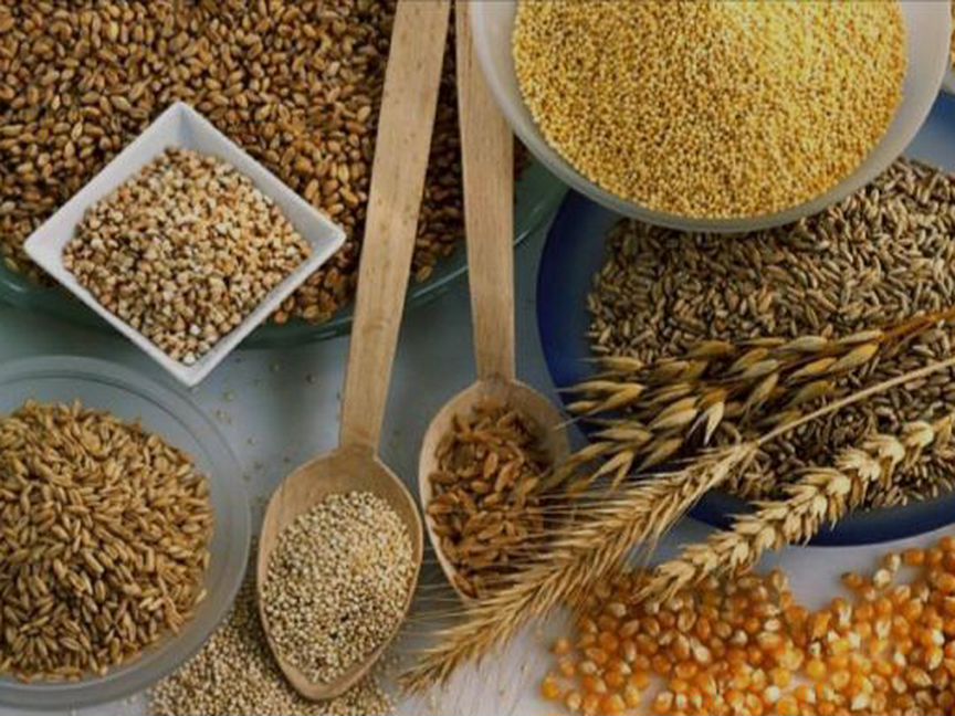 Зерно,семена многолетних трав,отруби дробленные